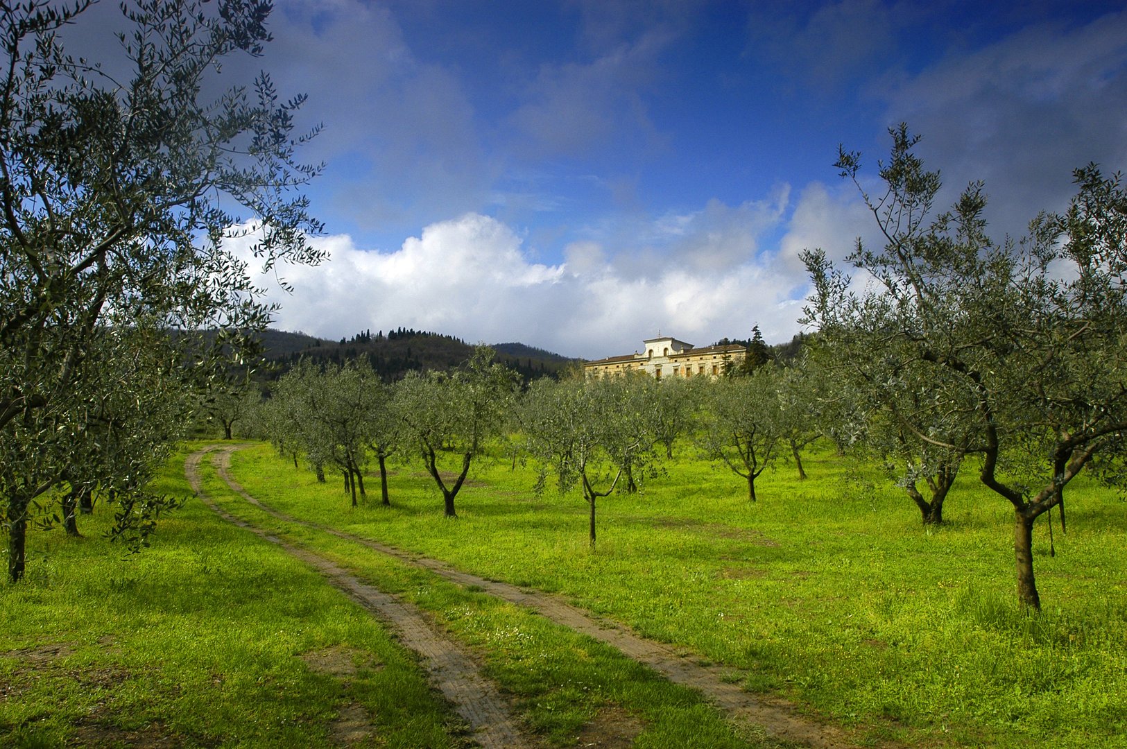 Prato Turismo - Ville di Montemurlo: storia e architettura rinascimentale