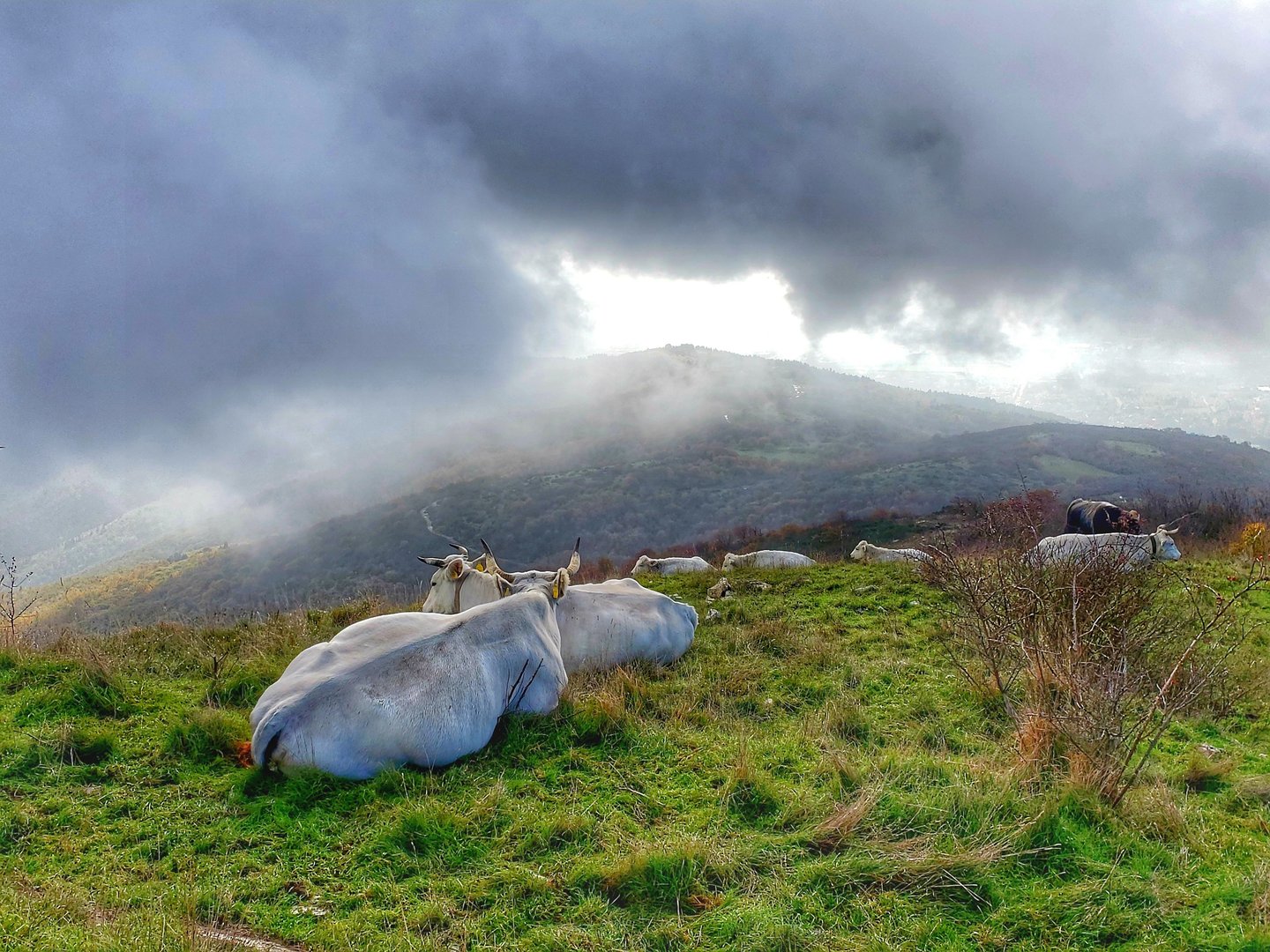 Prato Turismo - Il crinale della lana e della seta